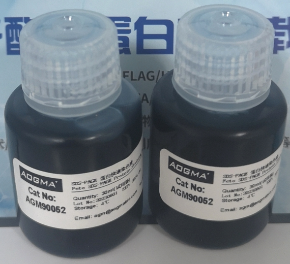 5分钟蛋白快速染液/Feto SDS-PAGE Protein Staining Buffer-产品中心-AOGMA-生物试剂/耗材/技术服务